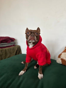 Uk boston terrier rescue – UK Boston Terrier Rescue