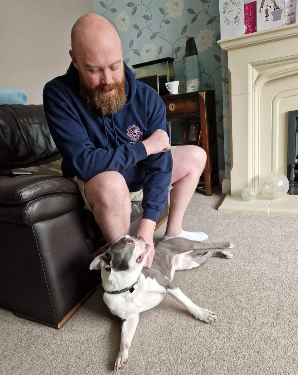 Volunteer Appreciation – UK Boston Terrier Rescue